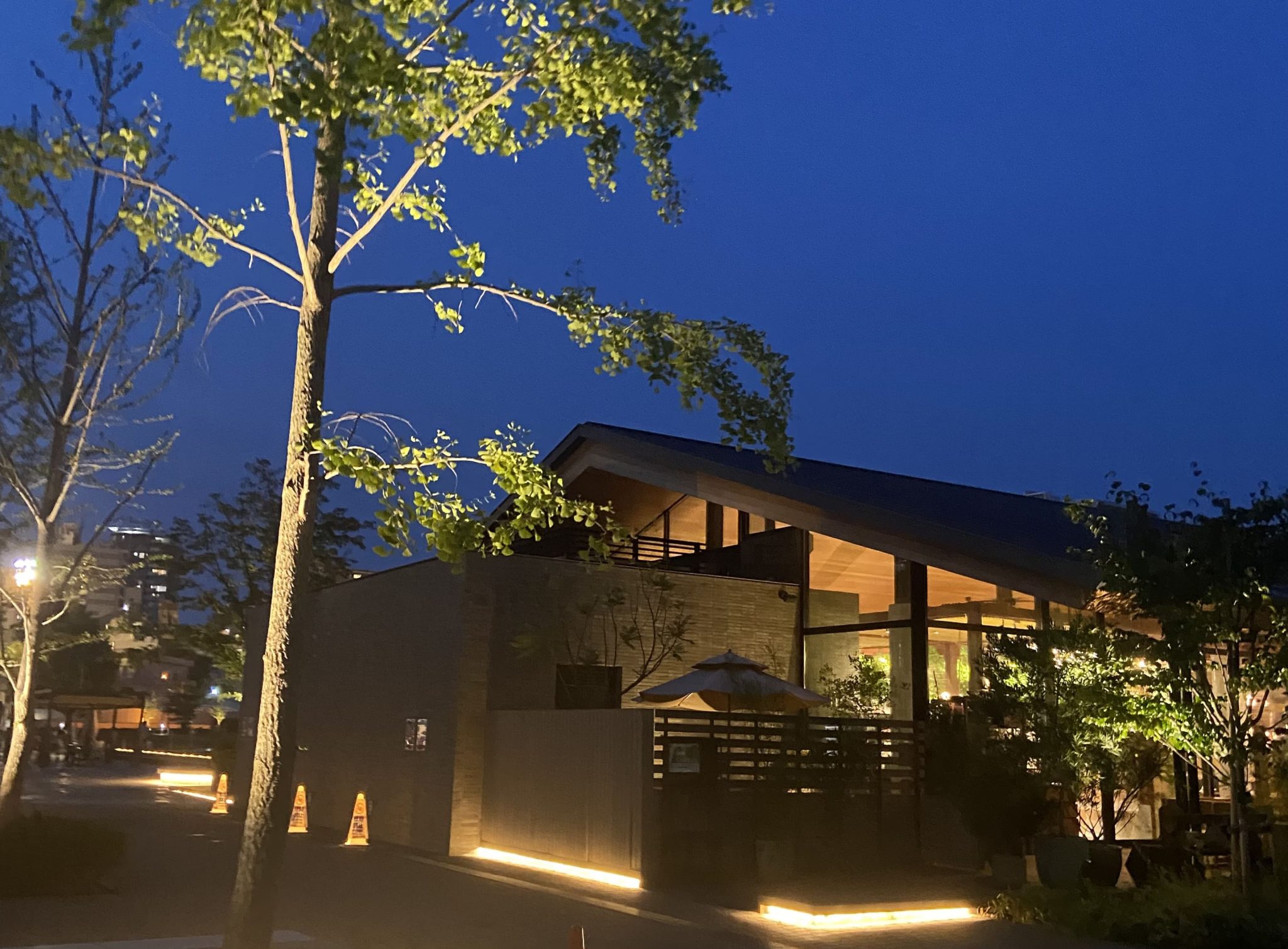 夜ピクニックって、略すと“夜ピ”なのかな？｜日本デザインの日常 | 生き方・働き方・日本デザイン